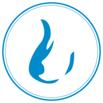 Al Maseer Insurance – Iraq's Top Insurance Company